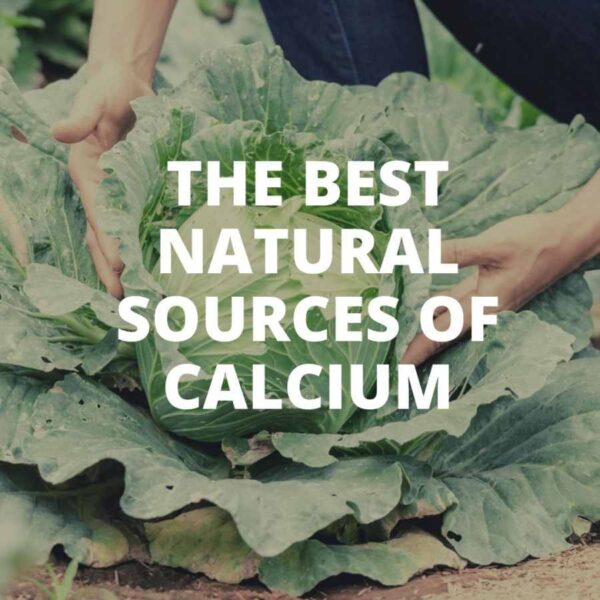 The best natural sources of calcium - SIXMD - Vietnamese Online Shop
