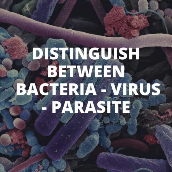 Distinguish between Bacteria - Virus - Parasite - SIXMD